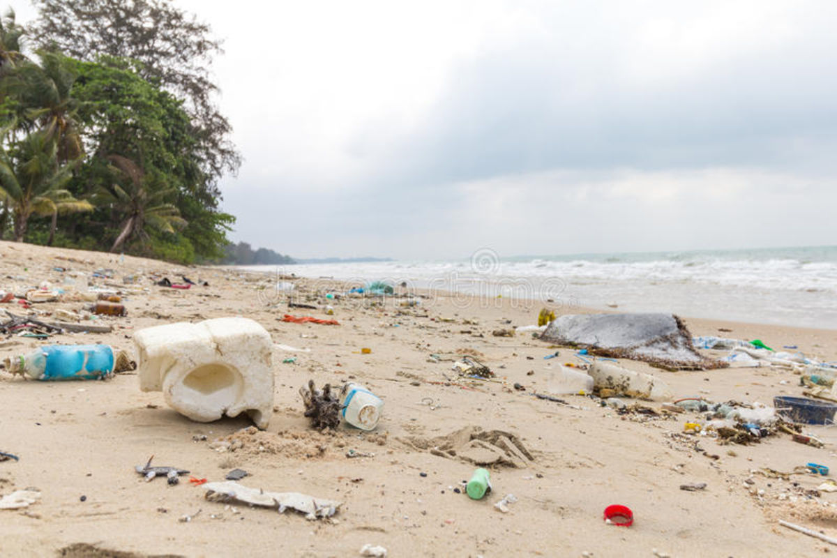 Tanzania commits to 'Clean Ocean' global campaign | The Citizen