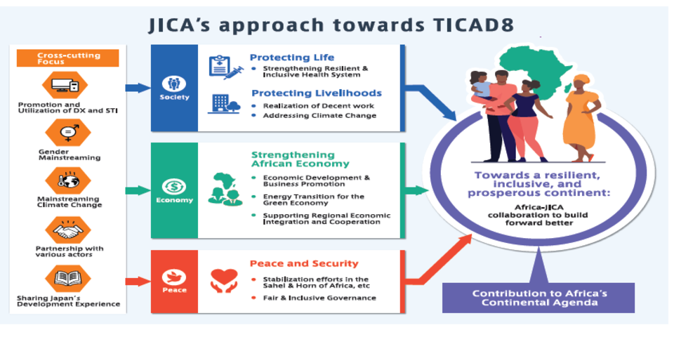 JICA’s approach - the three pillars of TICAD | The Citizen