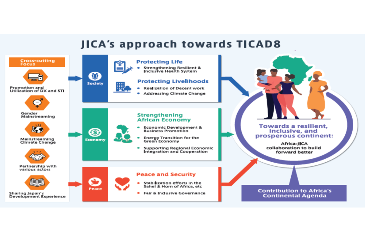JICA’s approach - the three pillars of TICAD | The Citizen