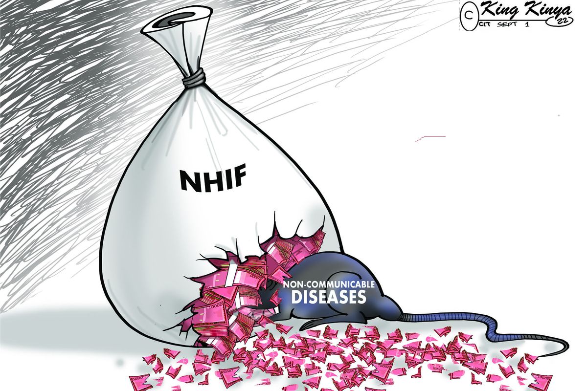 Burden of NCDs and the adverse impact on health and economy | The Citizen