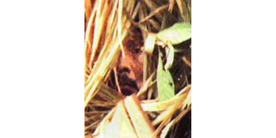'Man of the hole' dies, last known survivor of Amazon tribe | The Citizen
