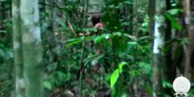 'Man of the hole' dies, last known survivor of Amazon tribe | The Citizen