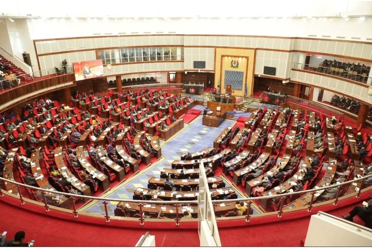 Special seats legislators: Stakeholders call for term limits | The Citizen
