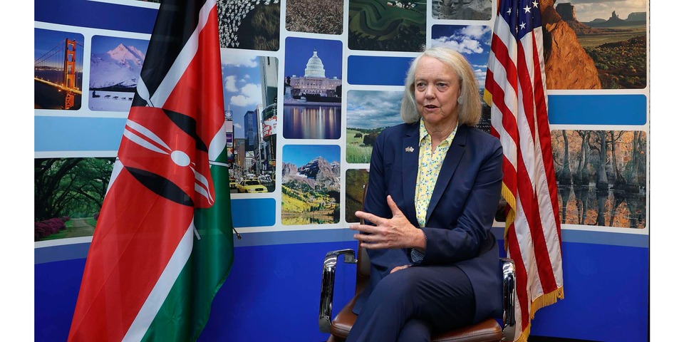 Why US tech billionaire took up job as ambassador to Kenya | The Citizen
