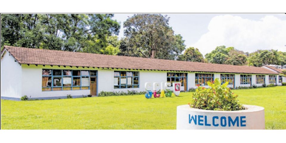 How A-Level Students scaled the heights of education with excellent grades at St. Constantine’s ...