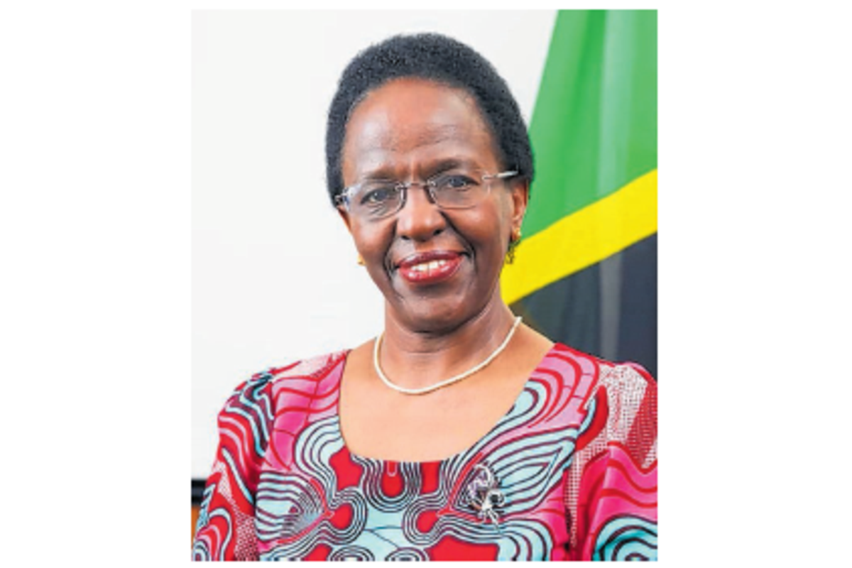 Address by Tanzanian Foreign Minister Liberata Mulamula at the Online ...