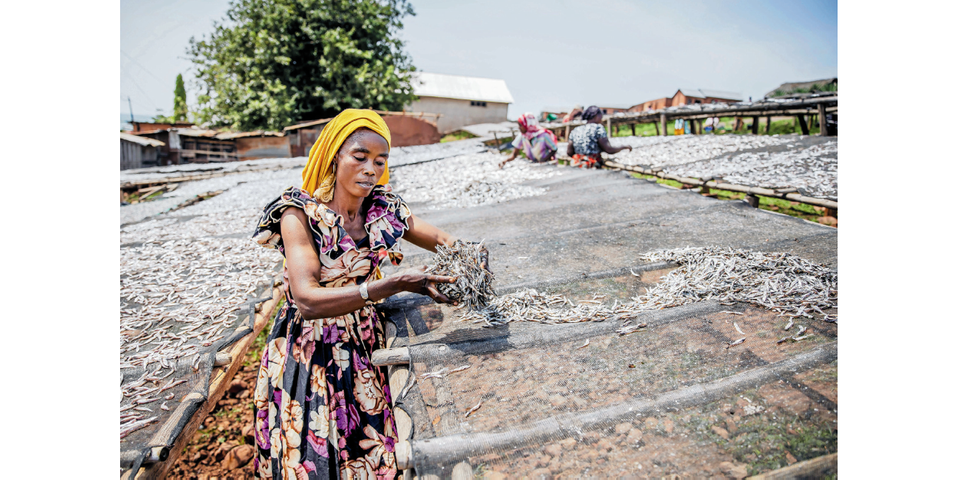 Beyond post–harvest processing: Empowering female fishers through ...