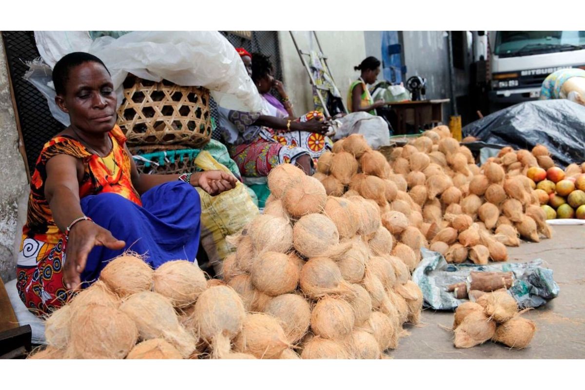 Coconut prices hit the roof in Zanzibar amid production shortfall | The ...