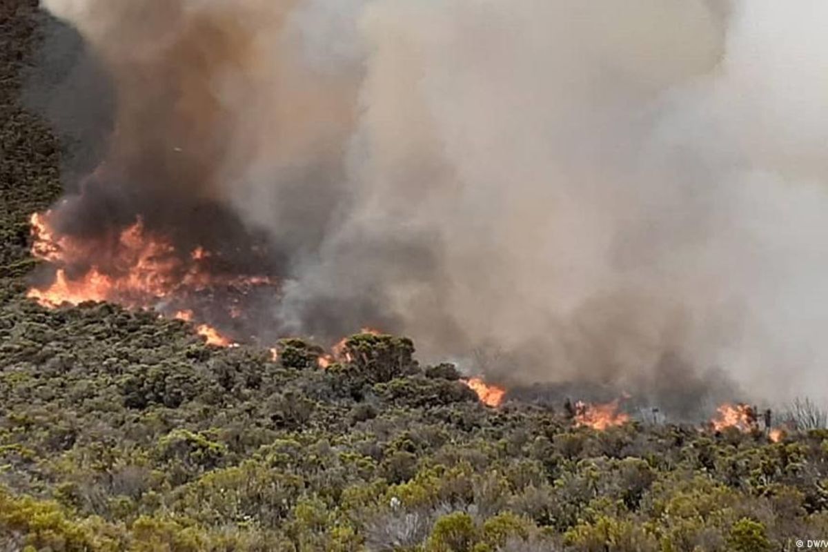 Kilimanjaro: Fires shaped the mountain’s unique environment - now they ...