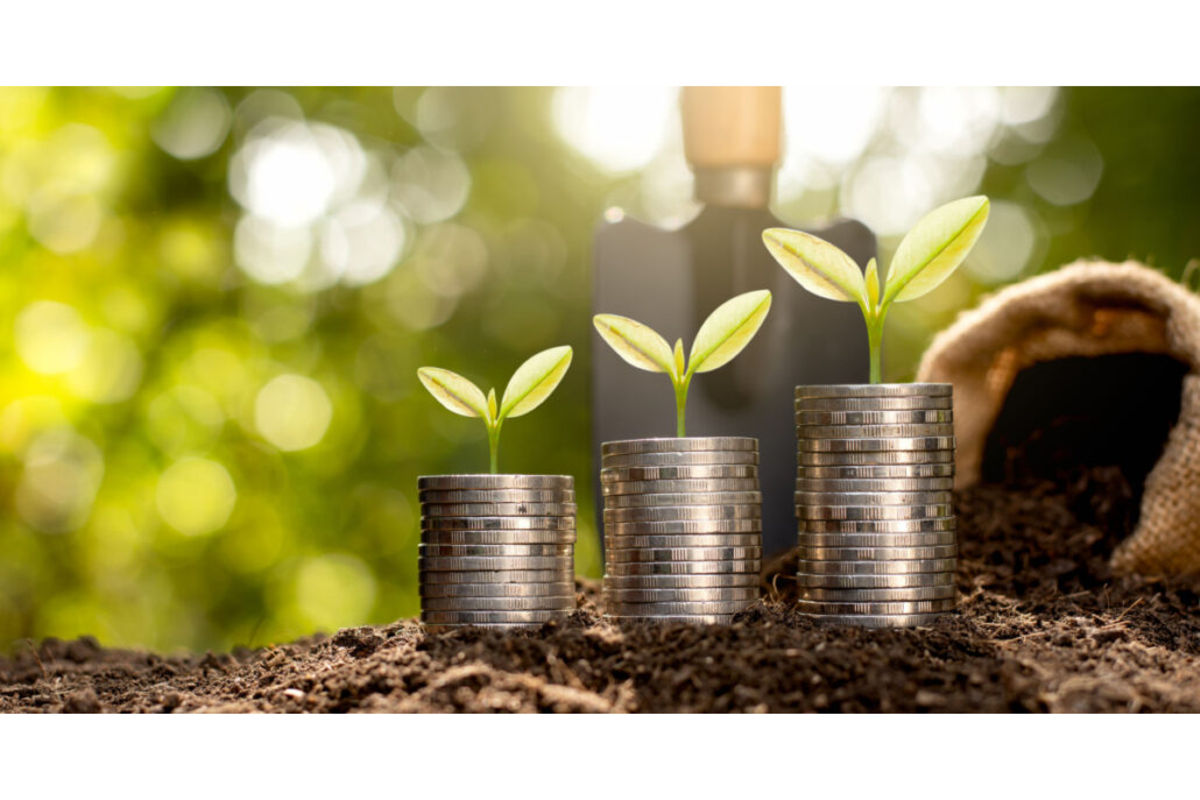 Is your company adequately capitalised? | The Citizen