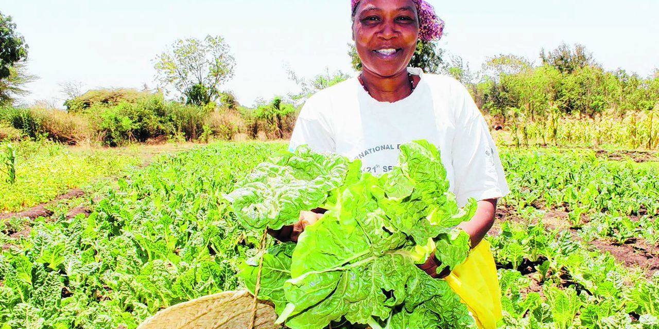 What Tanzania’s Sh4 trillion in horticulture means to farmers | The Citizen