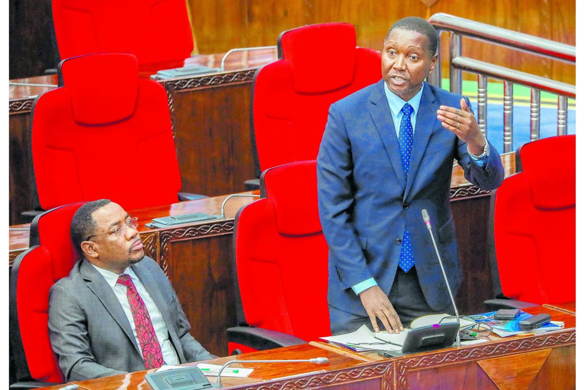 Parliament puts Prof Mkenda to the sword over HESLB | The Citizen