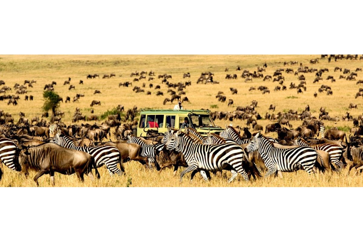 Analysis: What is needed to unlock tourism potentials | The Citizen
