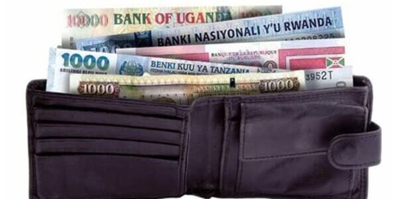 Local experts share insights on what a common currency would mean for ...