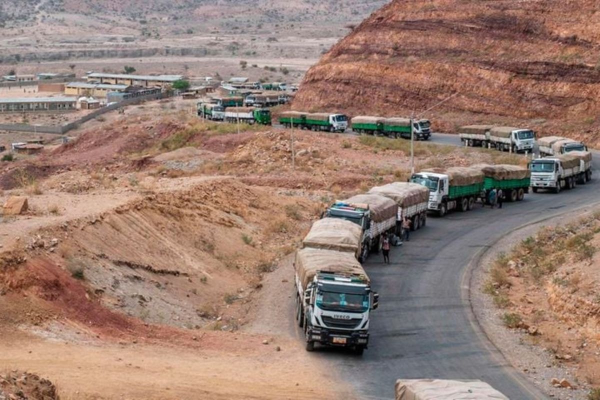 Ethiopia says aid flowing to Tigray but rebels deny | The Citizen