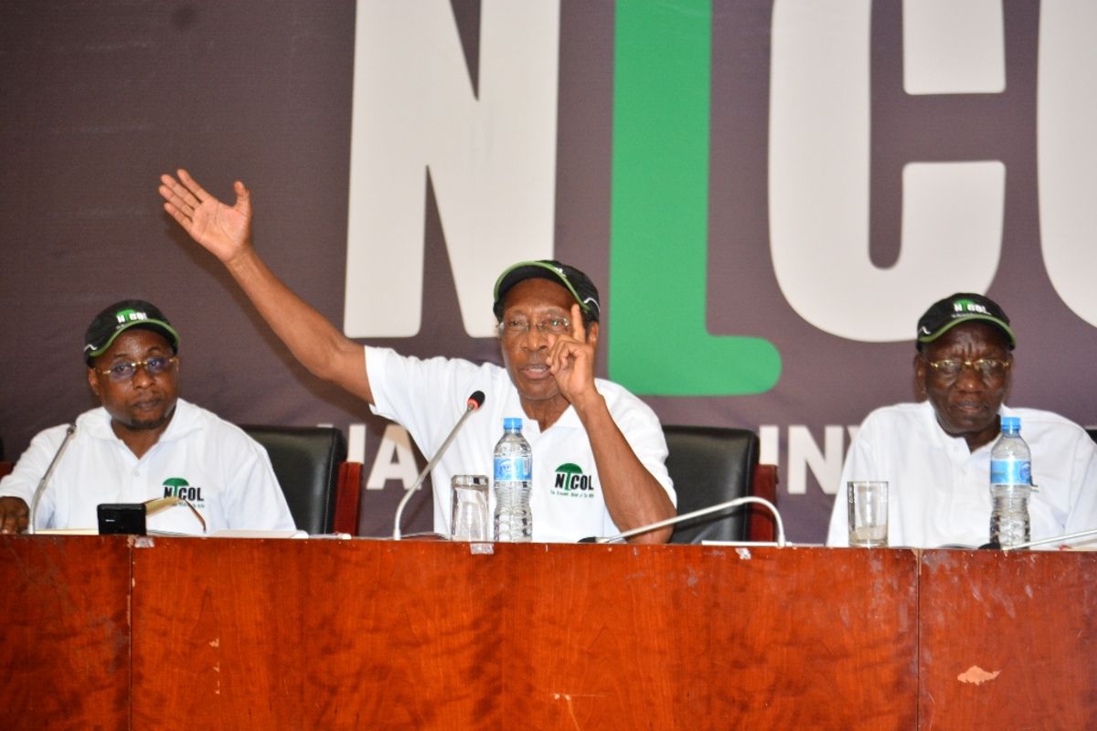 Nicol’s profit, dividend payout up | The Citizen