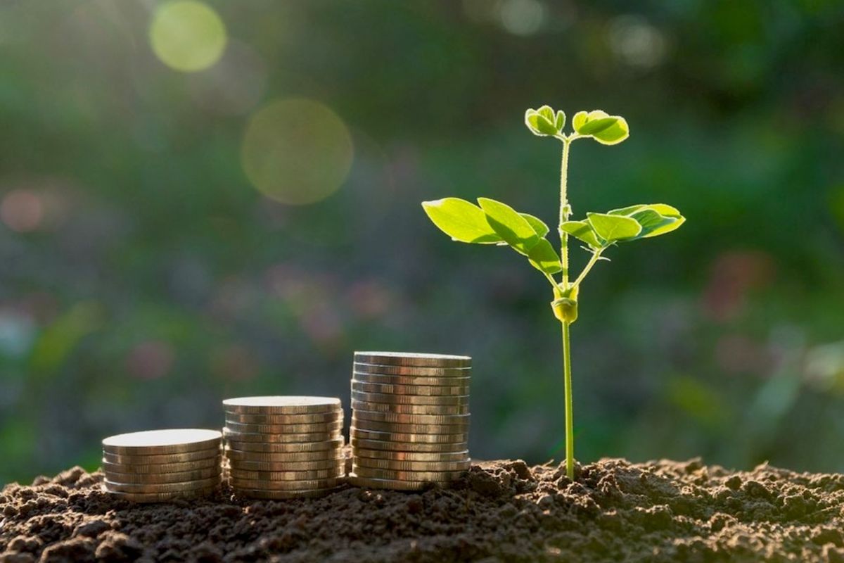 Why EAC needs to enhance investments in agriculture | The Citizen