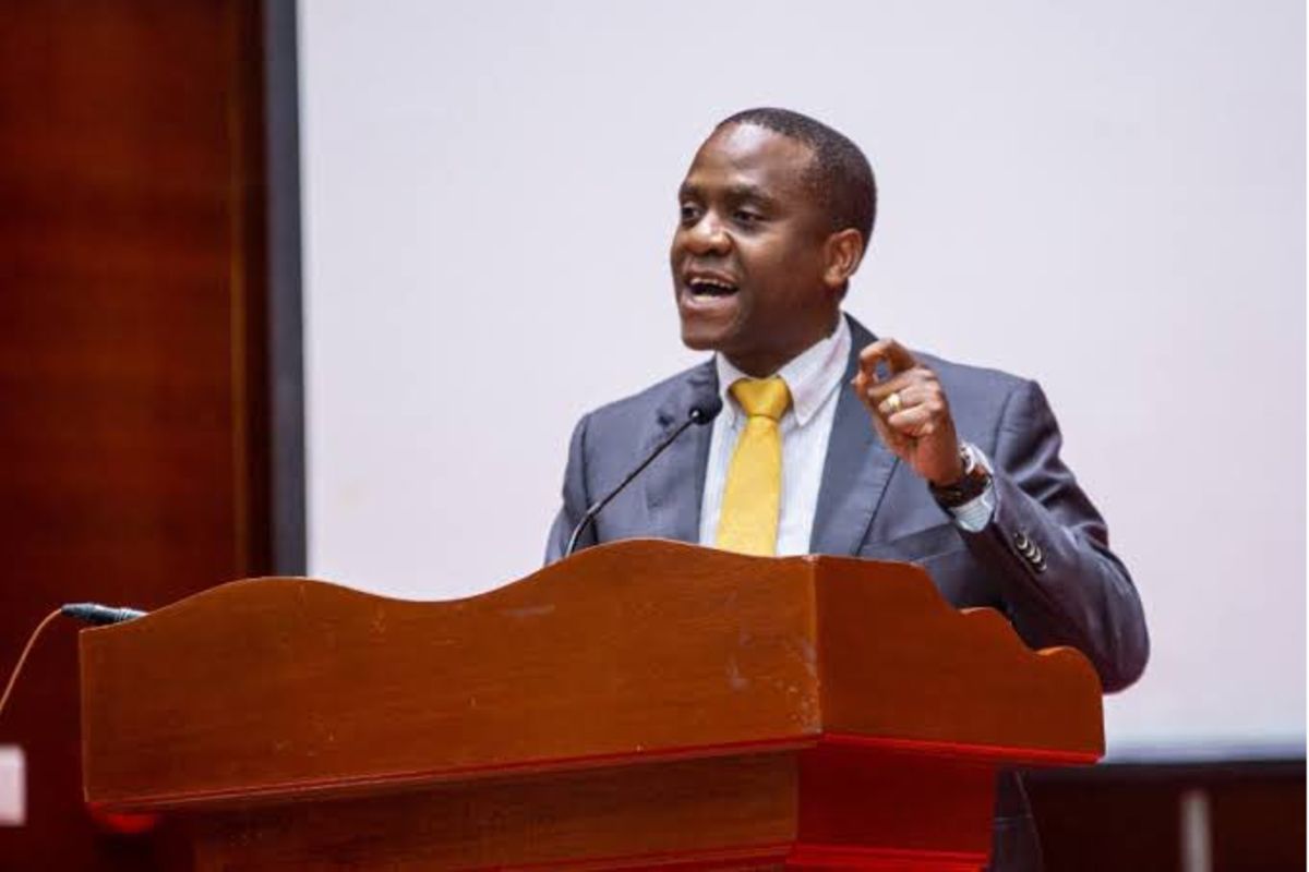 Tanesco: DSE listing possible but there is work to be done | The Citizen