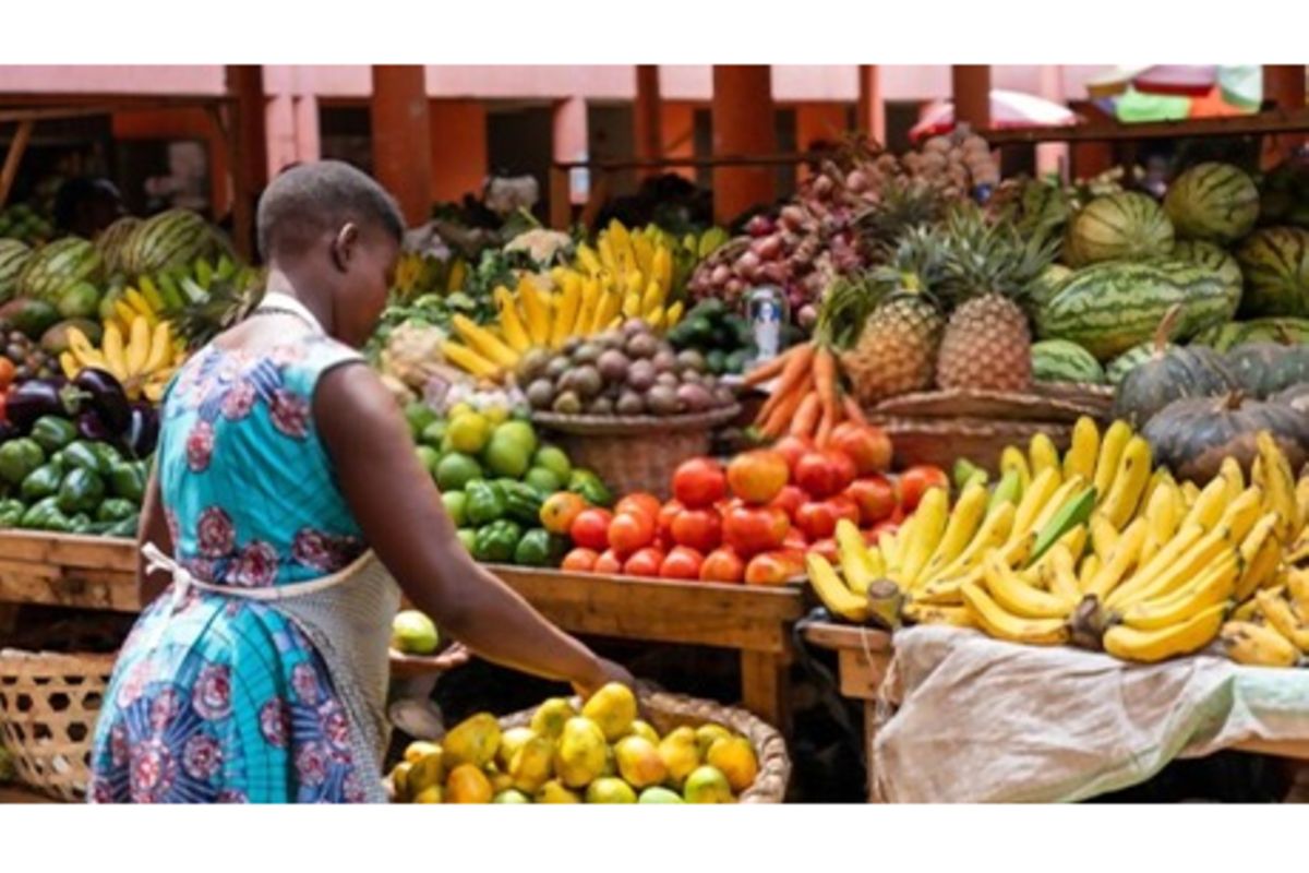 Tanzanian agri-tech company wins African business prize | The Citizen