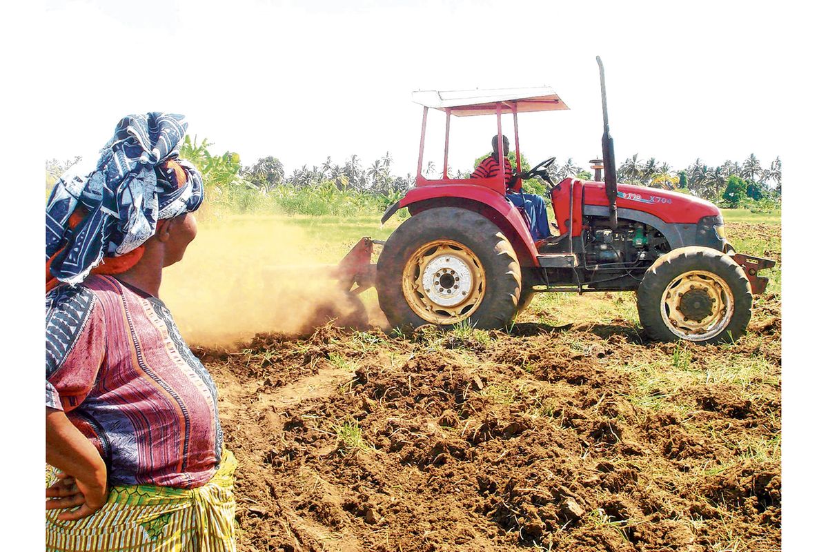 Economic gender-based violence: A driver of other forms of violence ...