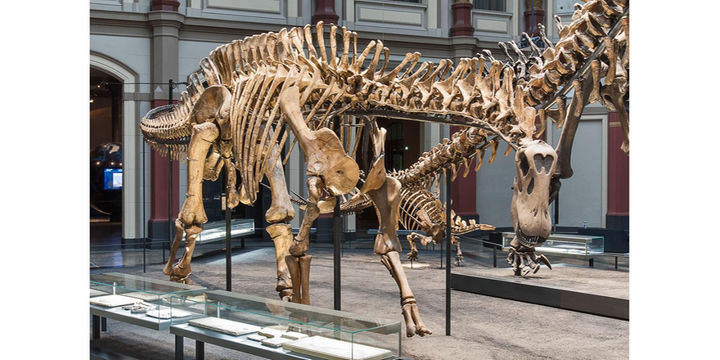 Tanzania's Tendaguru dinosaur site gets World heritage nomination | The ...