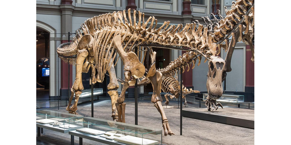 Tanzania's Tendaguru dinosaur site gets World heritage nomination | The ...