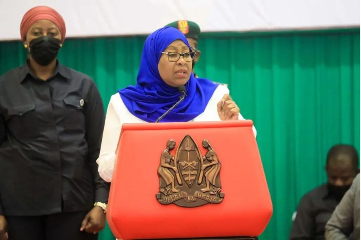 Samia's role as investments triple to $3.16 billion in 5 months | The ...