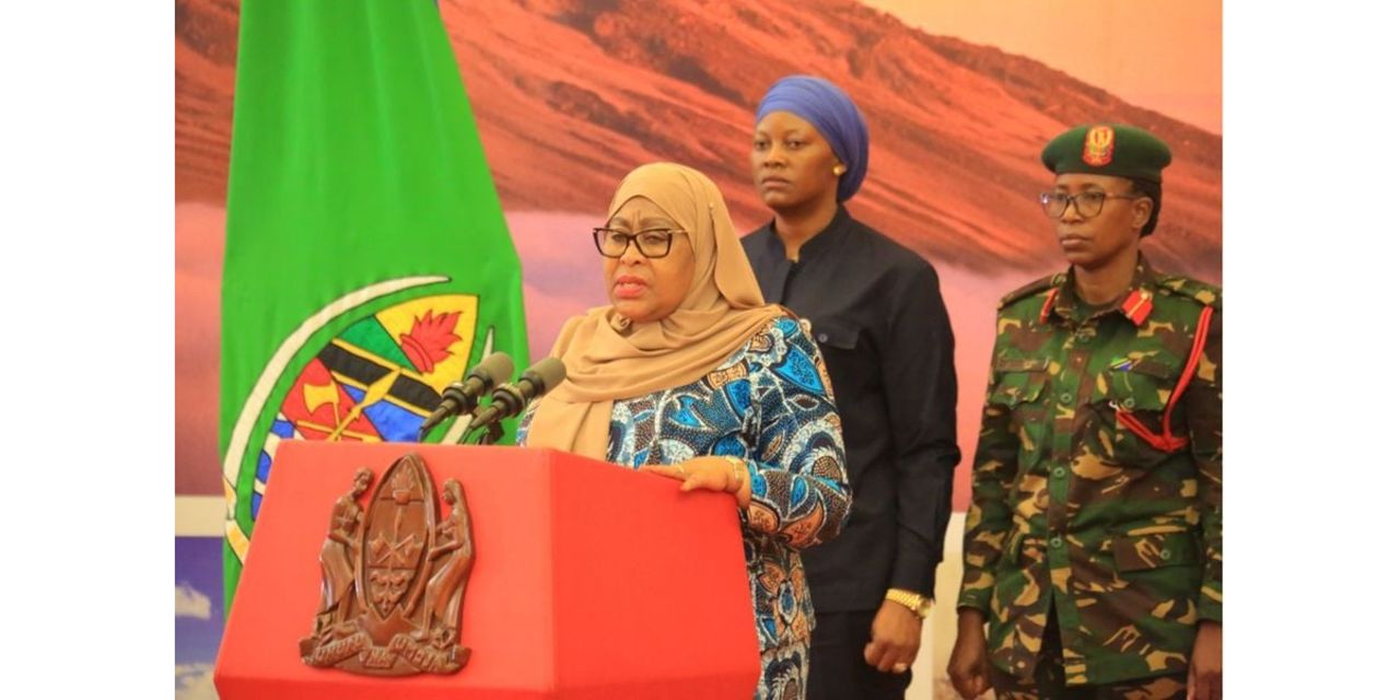 President Samia sacks envoy to UN, appoints new spy chief | The Citizen