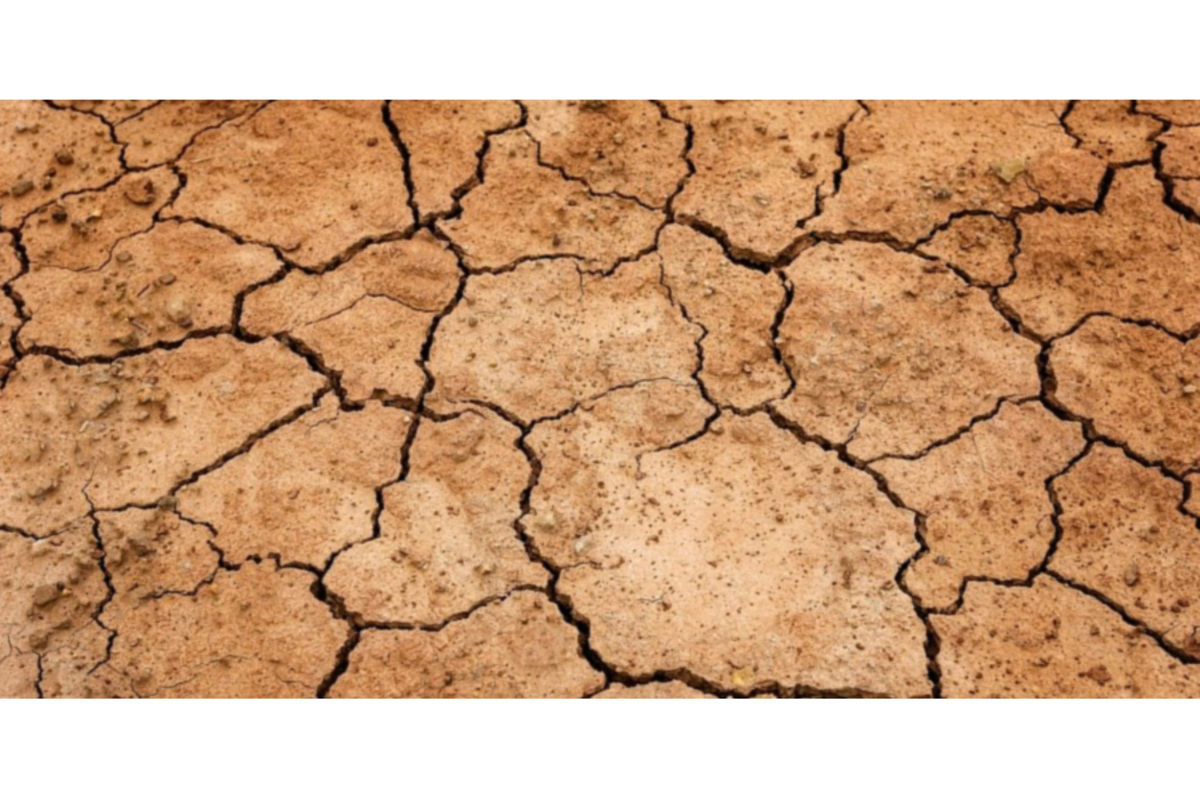 Drought in the horn of Africa alarming | The Citizen
