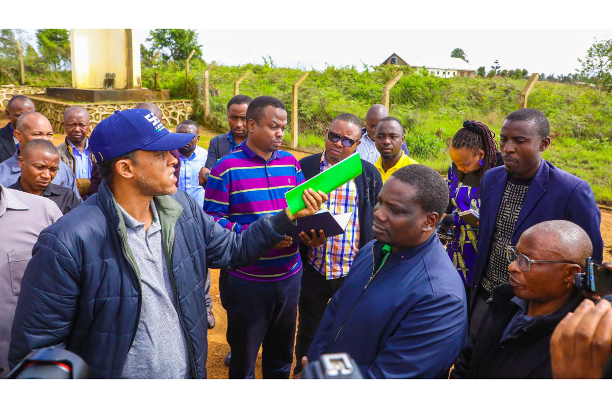 Bashe blacklists avocado buyer over harvesting immature produce | The ...