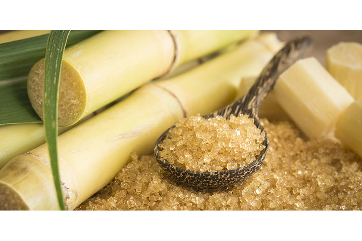 Sugar plant to be completed in June | The Citizen