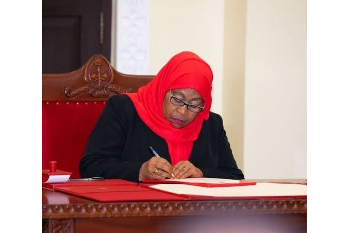 President Samia drops 37 district commissioners in sweeping changes ...