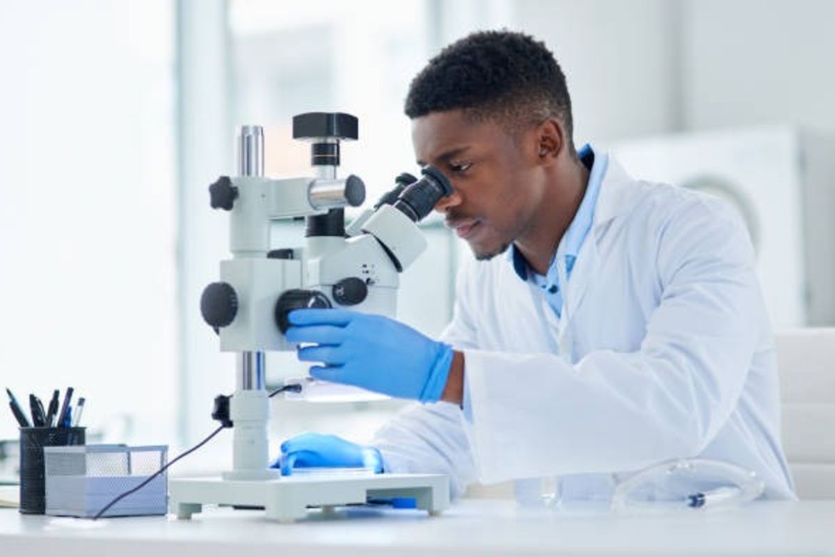 Performance in science subjects undermines government goal | The Citizen