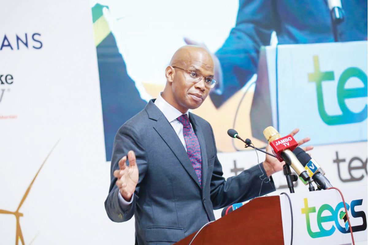 Makamba calls for private investment to fill energy gap | The Citizen