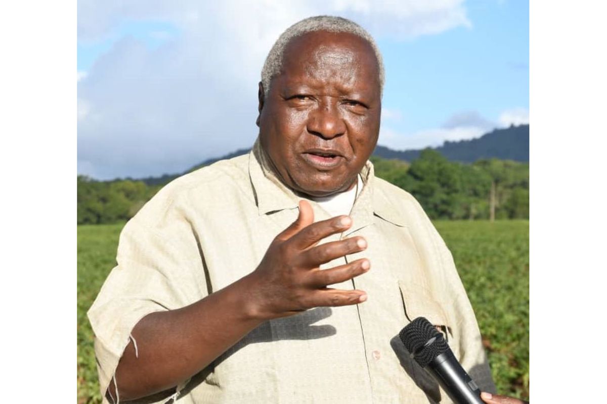 Temu: Irish potato farmer aiming to have 1,000 acres | The Citizen