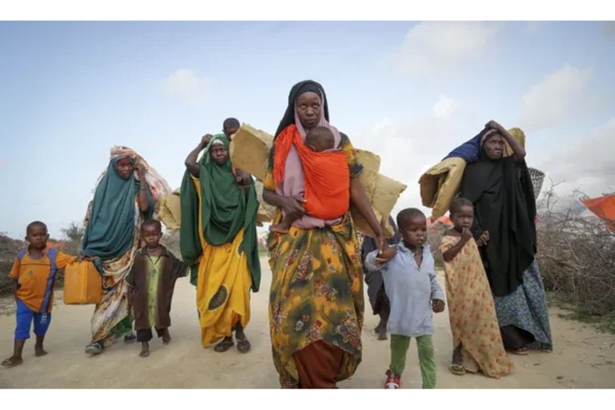 Why over 20 million are hungry in Africa | The Citizen