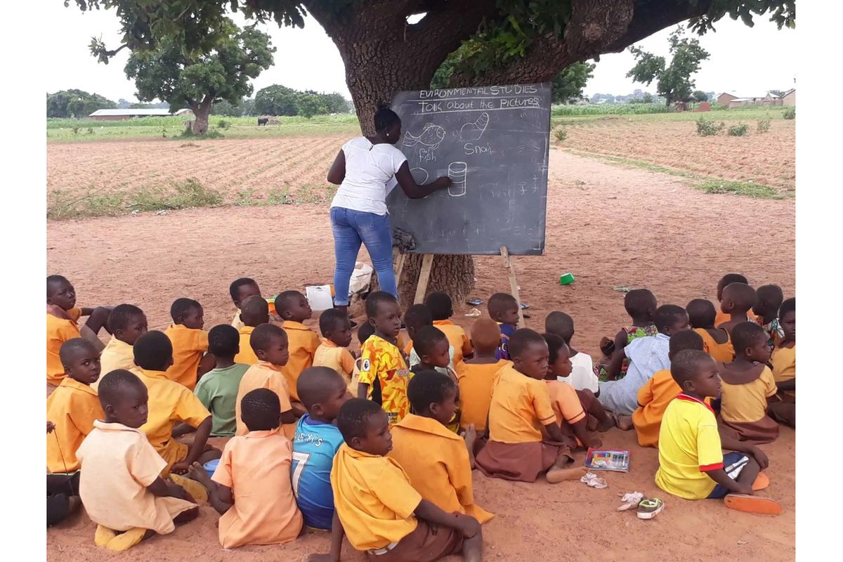 Are stories of children learning under trees still true? | The Citizen