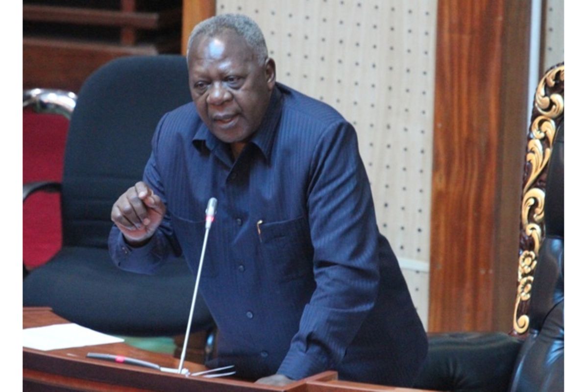 Why juggling of investment docket has been necessary | The Citizen