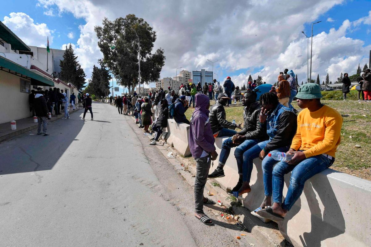 It’s a dog’s life for migrants in Tunisia | The Citizen