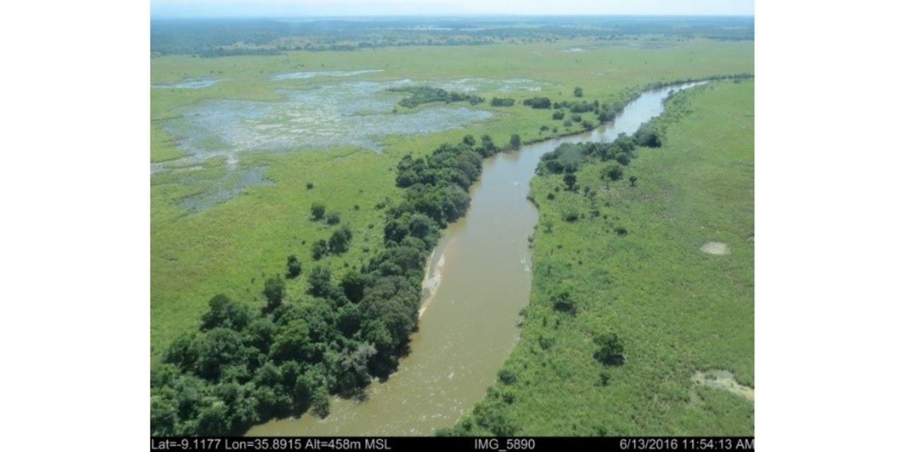 The benefits galore of TAWA’s Kilombero Game Reserve | The Citizen