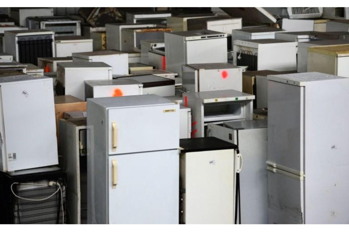 Flying with a refrigerator all the way from London | The Citizen