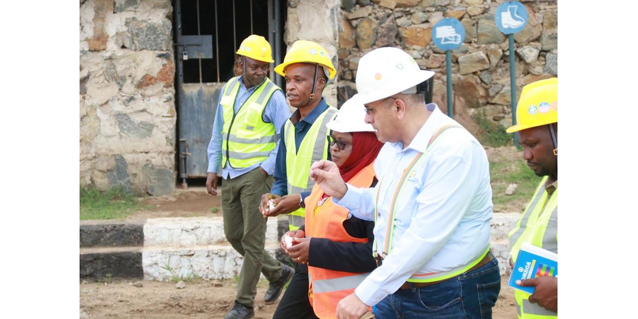 What Katavi Mining Company expansion means | The Citizen