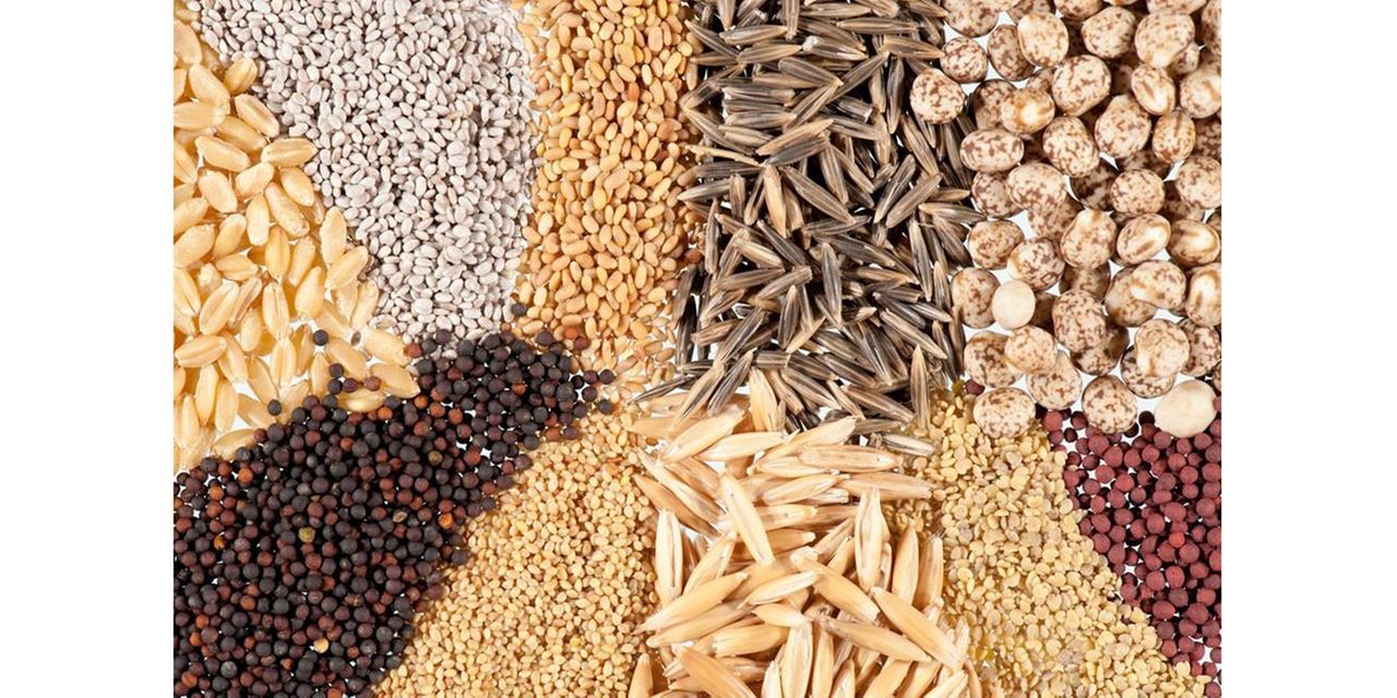 Tanzania eyes higher yields as Tari unveils new seed varieties | The ...