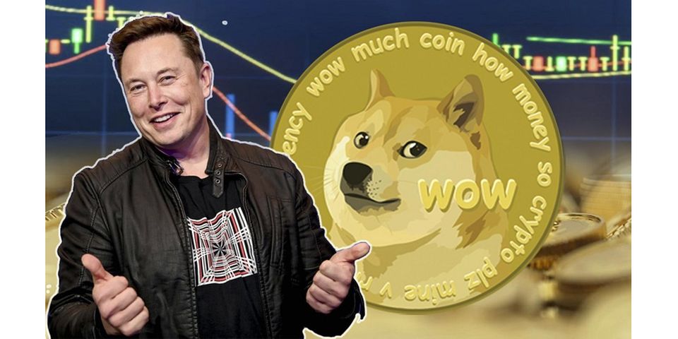 Elon Musk changes Twitter logo to 'meme dog' | The Citizen