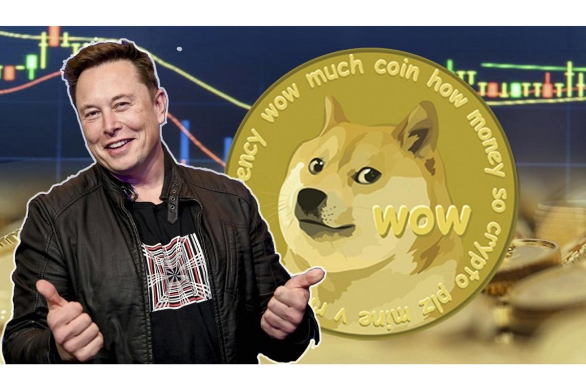 Elon Musk changes Twitter logo to 'meme dog' | The Citizen