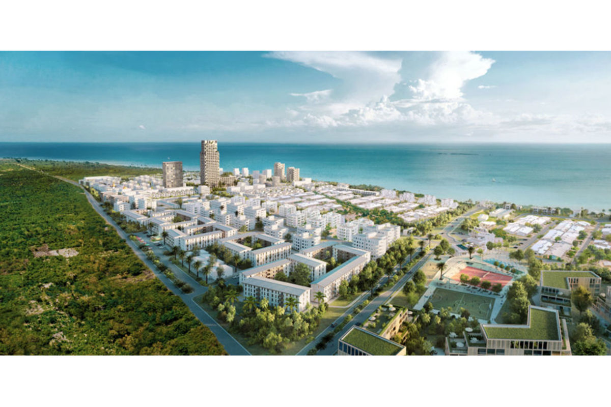 Timber to transform construction in Zanzibar | The Citizen
