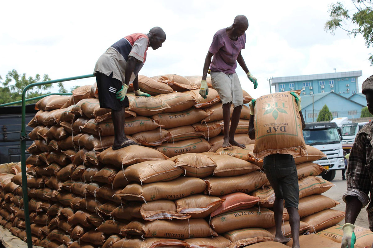 Regulator: Why fertiliser prices will drop next farming season | The ...
