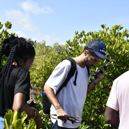 Australian seeks to break Guinness world record by planting trees in ...