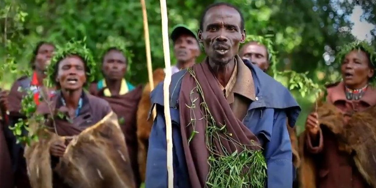 Kenya bows to African court ruling on Ogiek people | The Citizen
