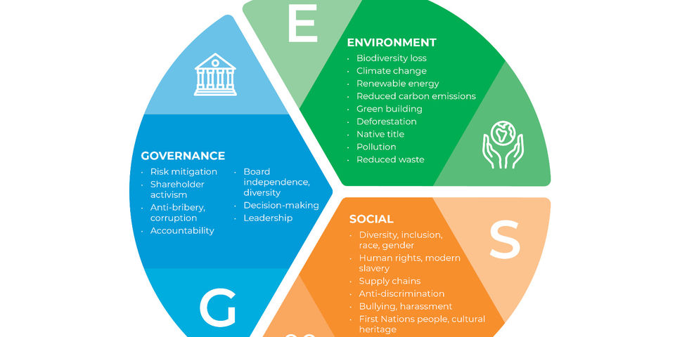Why ESG strategies are key to sustainable business practices | The Citizen
